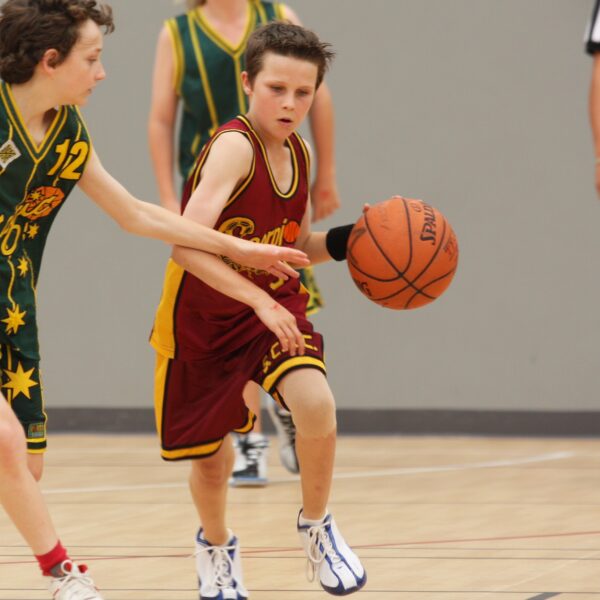 Gallery – SCYC Scorpions